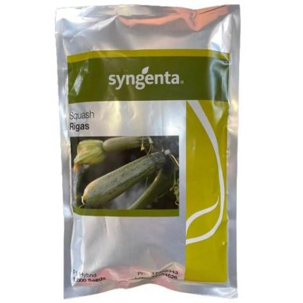 ΚΟΛΟΚΥΘΙ RIGAS F1 1.000 ΣΠΟΡΟΙ - Agroshop Marakis